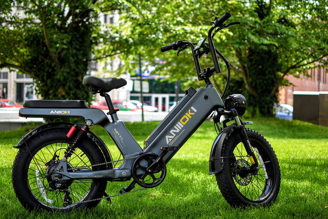 Aniioki Ebike: Best Online E-Bike Shop | High-quality and Affordable