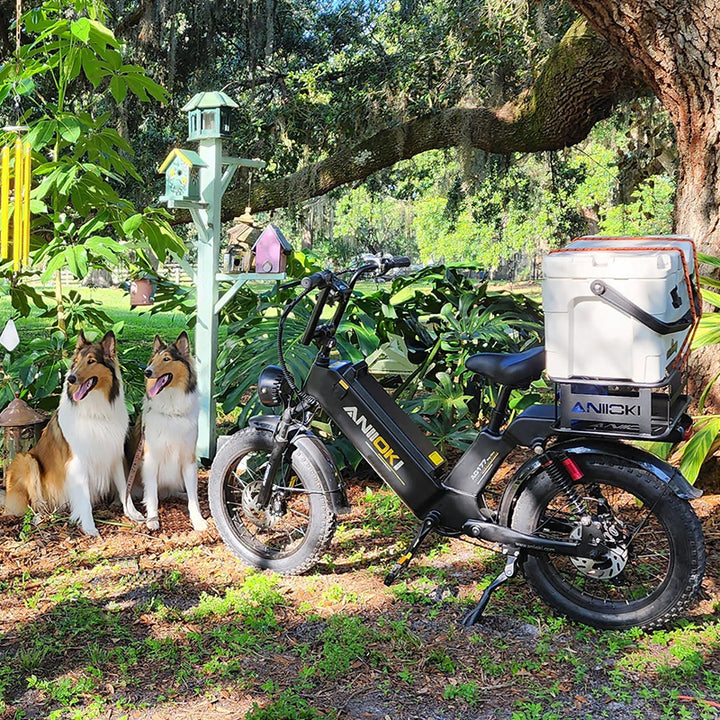 Aniioki AQ177 Long Range Step-thru Power Bike, 60Ah Removable Battery ...