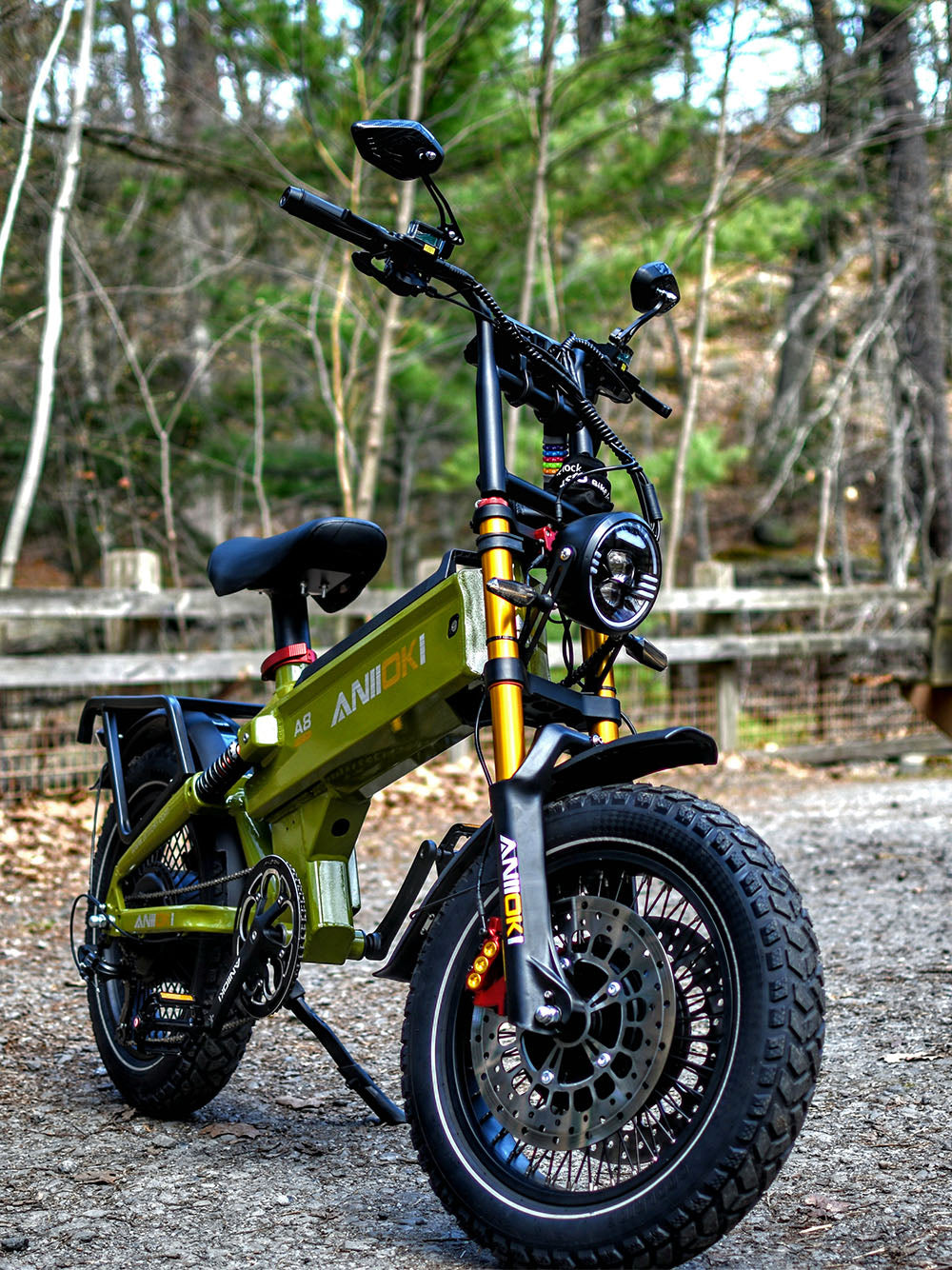 Bundle Sale - A8 Pro Max Dual Motor 60V 80Ah x 2 – aniiokiebike
