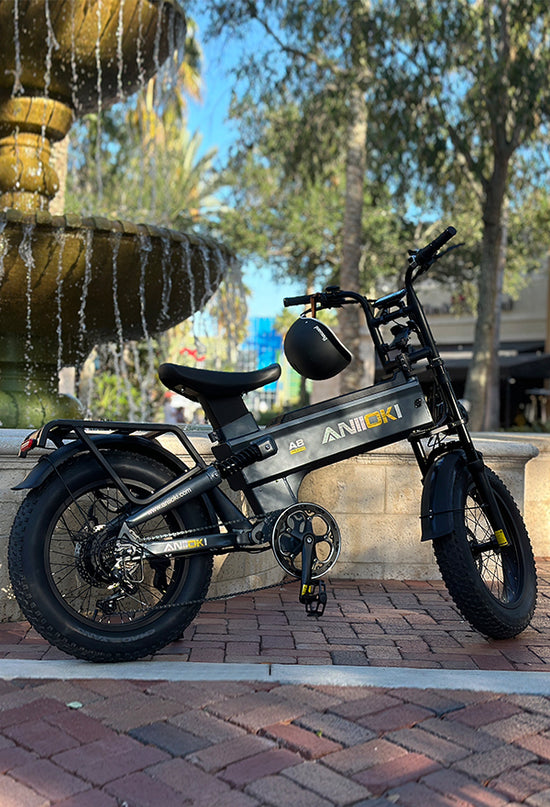 Aniioki Ebike: Best Online E-Bike Shop | High-quality and Affordable