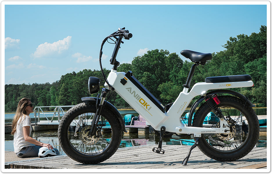 Aniioki Ebike: Best Online E-Bike Shop | High-quality and Affordable